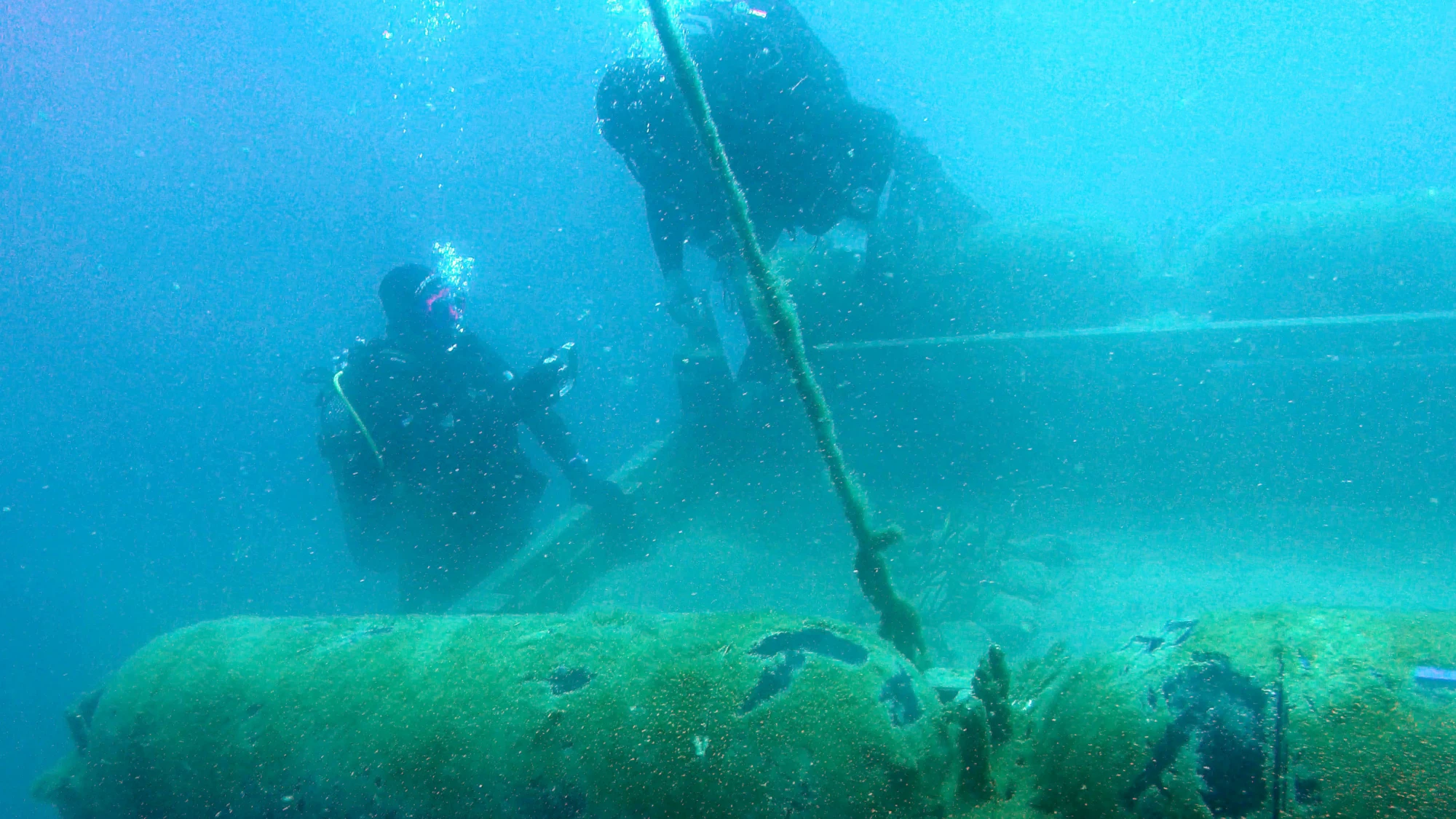 Offshore Seagrass Restoration | Floating Farms for Scalable Blue Carbon